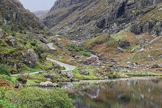 Private Killarney National Park Tour with an accredited chauffeur/guide - Authentic Experiences and Genuine Insights