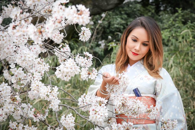 Private Kimono Photo Tour in Tokyo - Tour Logistics and Meeting Points