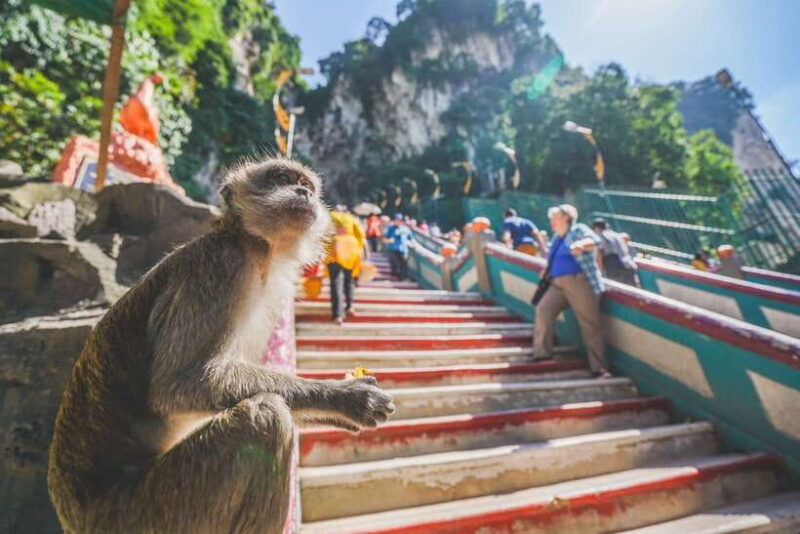 Private KL City Tour with Petronas Twin Towers & Batu Caves - Is It Worth the Price?