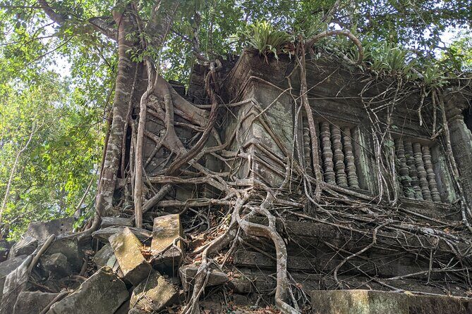 Private Koh Ker Temples Park & Beng Mealea Tour - Authentic Insights from Travelers