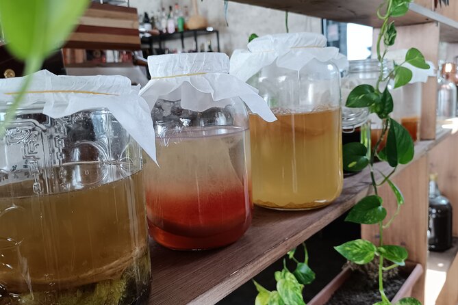Private Kombucha Making Workshop in Cyprus - The Value of This Experience
