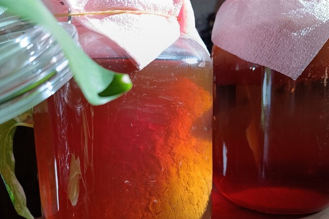 Private Kombucha Making Workshop in Cyprus - The Sum Up: Is It Worth It?