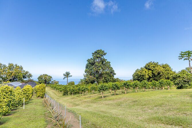Private Kona Coffee and National Historic Parks Tour - Practical Details and What to Expect
