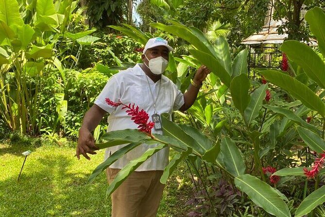 Private Konoko Falls and Dunn's River Combo Tour from Ocho Rios - FAQ