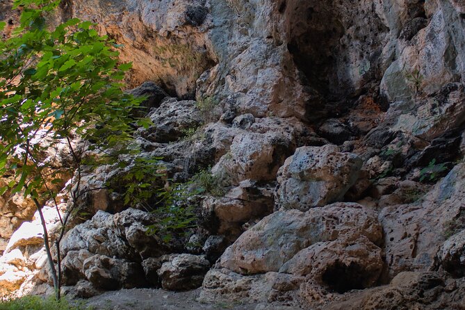 Private Korcula Eco Tour With Guide - Tour Requirements