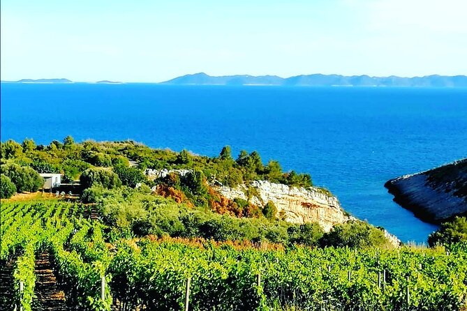 Private Korcula Wine Tour and Tasting - Exploring the History of Korcula Wines