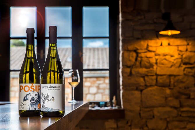 Private Korcula Wine Tour and Tasting - The Knowledgeable Tour Guide Experience