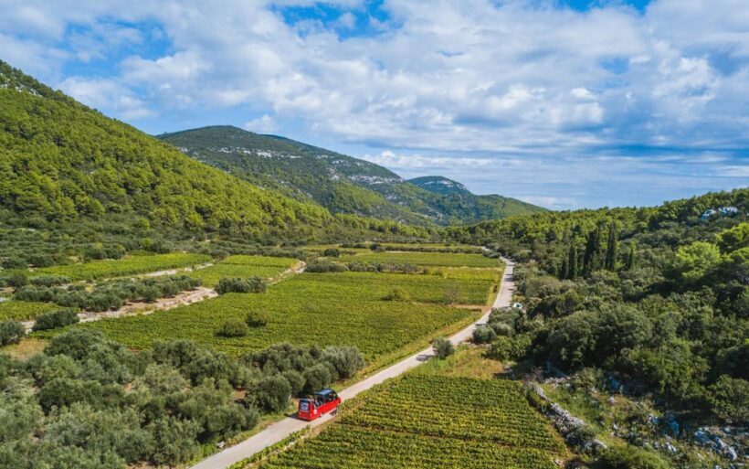 Private Korula Island: Wine & Sightseeing Tour - Price and Value Analysis