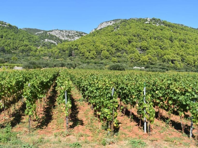 Private Korula Island: Wine & Sightseeing Tour - Seasonal Variations