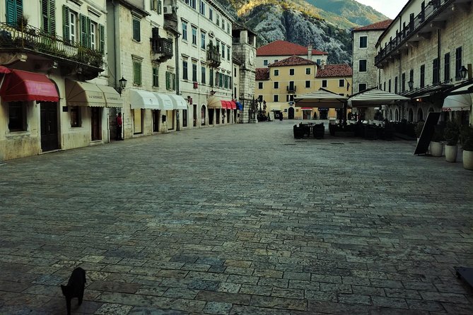 Private Kotor and Perast Tour - Baroque Charm of Montenegro - Tour Experience