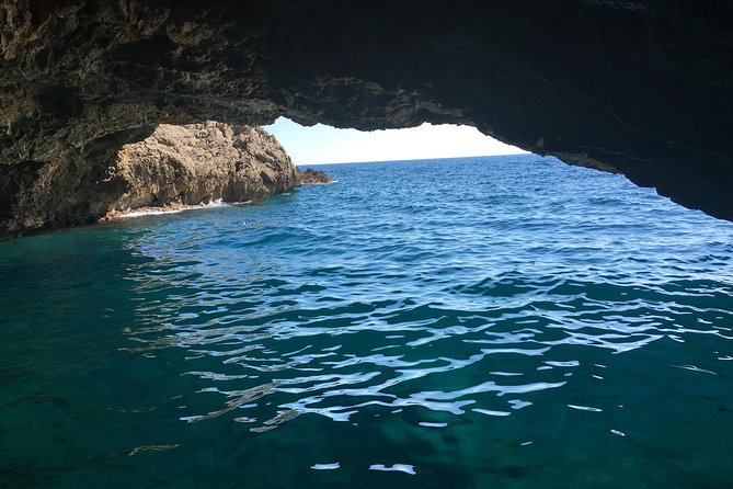 Private Kotor Bay Speed Boat Tour and Blue Cave Adventure - Customer Experiences and Reviews