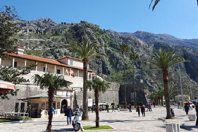 Private Kotor Walking Tour - Rick Steves Recommended - Guest Reviews and Recommendations