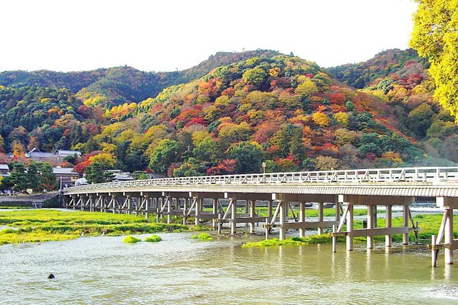 Private Kyoto Arashiyama Custom Half-Day Tour by Chartered Vehicle - Accessibility and Accommodation