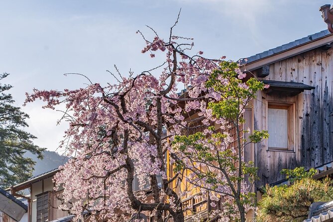 Private Kyoto Customizable Day Tour With English Guide - Meeting and Pickup