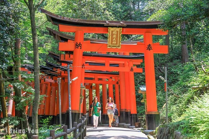 Private Kyoto Customizable Day Tour With Guide & Luxury Vehicle - Customizable Itinerary Options