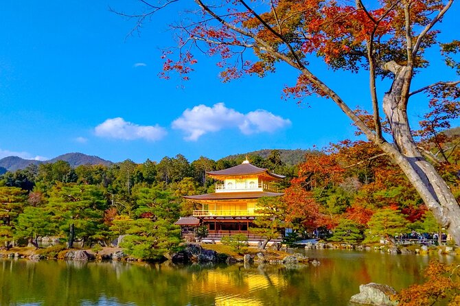 Private Kyoto Day Trip With English Speaking Driver - Highlights of the Tour