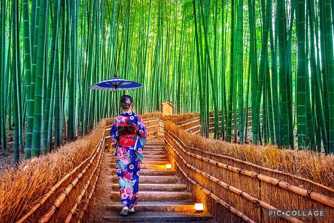 Private Kyoto-Nara Tour From Osaka With Hotel Pickup and Drop off - Booking and Cancellation Policy