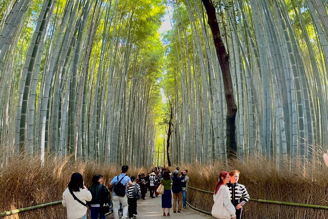 Private Kyoto Osaka Day Tour With English Speaking Driver - Inclusions and Exclusions