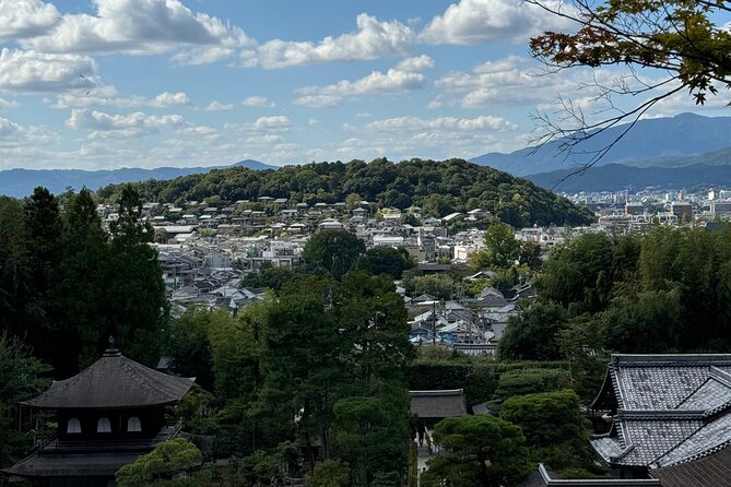 Private Kyoto Osaka Day Tour With English Speaking Driver - Pickup and Transportation