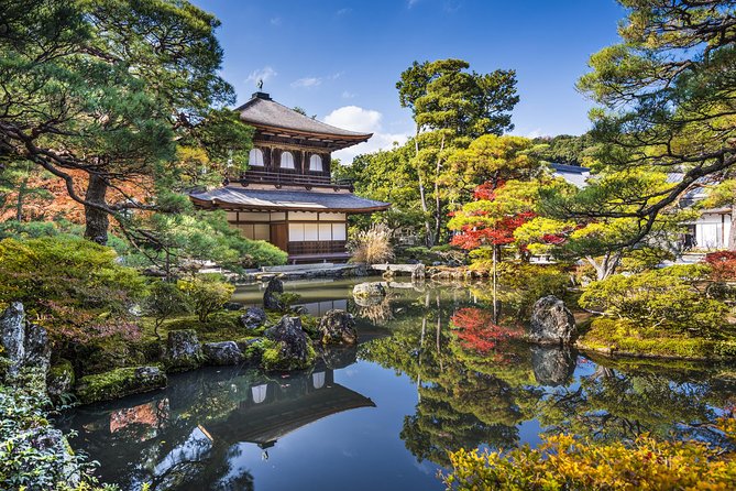 Private Kyoto Tour for Families With a Local, 100% Personalized - Accessibility and Group Size