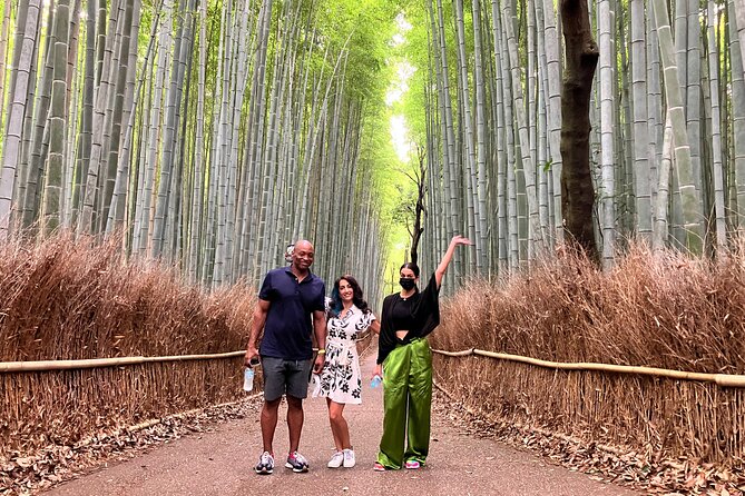 Private Kyoto Tour With Government-Licensed Guide and Vehicle (Max 7 Persons) - Guide Expertise and Customization