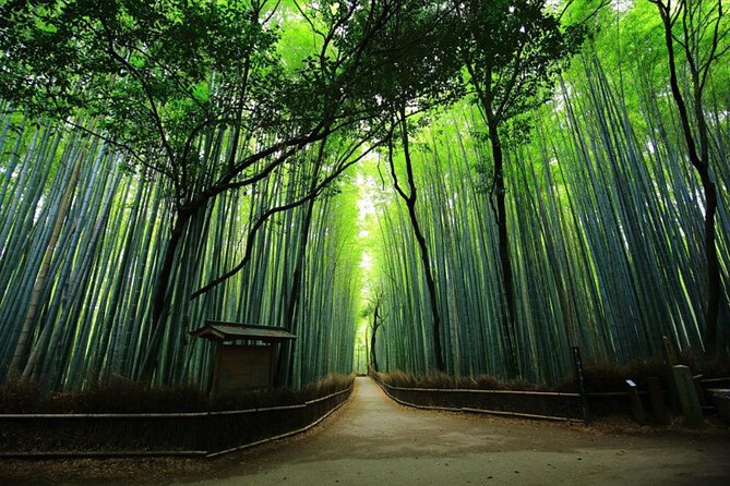 Private Kyoto Tour With Hotel Pickup and Drop off From Osaka - Review and Feedback