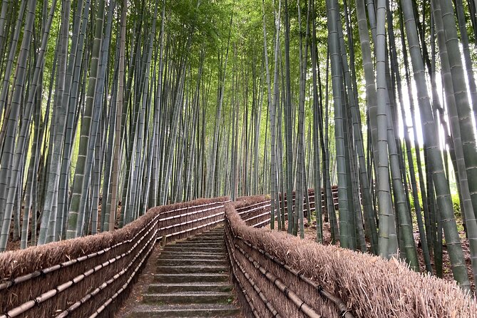 Private Kyoto With Exceptional Guide Tailored to Your Needs - Key Points