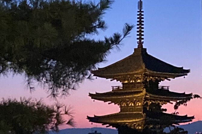 Private Kyoto With Exceptional Guide Tailored to Your Needs - Delightful Inclusions for a Seamless Experience