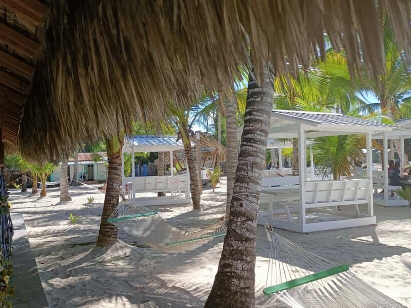 Private: La Romana, Catalina Island Snorkeling & Beach Trip - Exploring Catalina Island: What to Expect