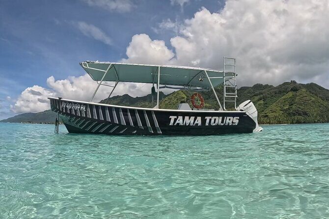 Private Lagoon Exploration and Snorkeling in Moorea - Transportation, Duration, and Suitability