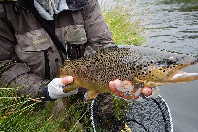 Private Lake and River Fishing Tour From Reykjavik - Highlights and Unique Experiences