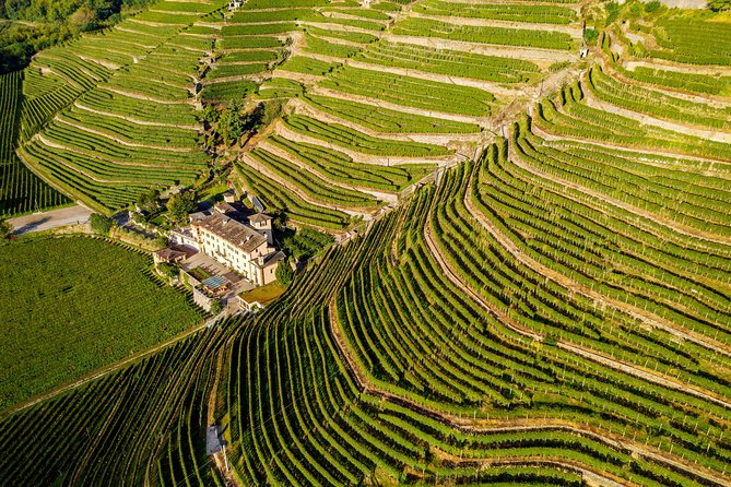 Private Lake Como Experience With Luca Review - Visiting Terraced Vineyards and Local Producers