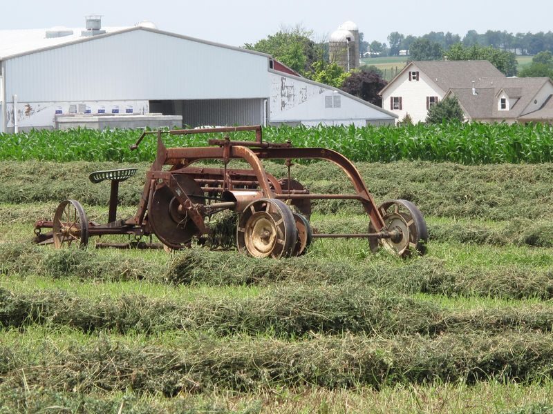 Private Lancaster County Amish Tour from Philadelphia - Authenticity and Reviews
