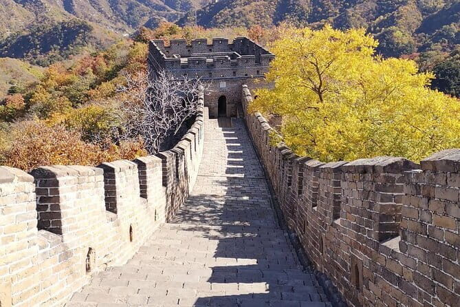 Private Layover Tour of Shanghai City Highlights and Airport Pickup - FAQ