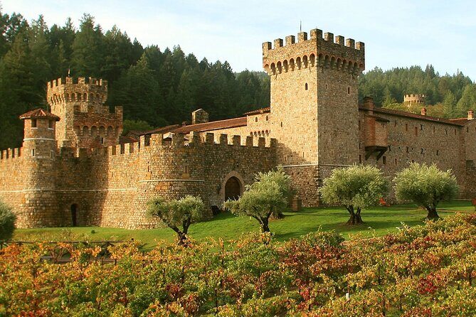 Private Limo Wine Tours in Sonoma and Napa Valley - Analyzing the Experience: What You Can Expect