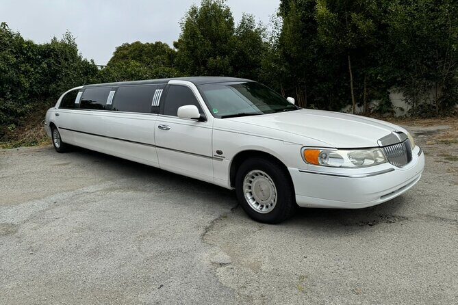 Private Limo Wine Tours in Sonoma and Napa Valley - Who is This Tour Best Suited For?