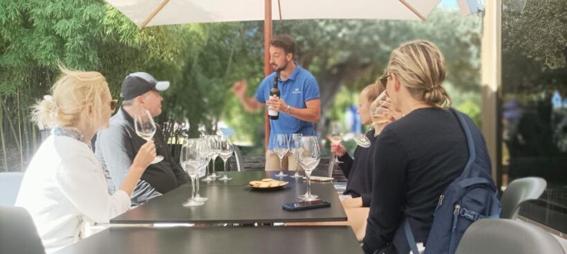 Private Lisbon Arrábida Wine Tour: Culture, Scenery & Wines - Key Points