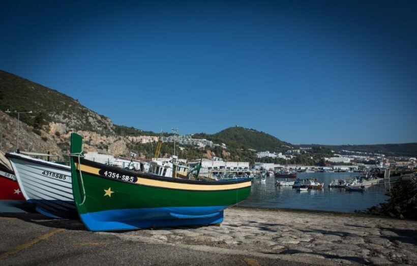 Private Lisbon Arrábida Wine Tour: Culture, Scenery & Wines - Who Will Enjoy This Experience?