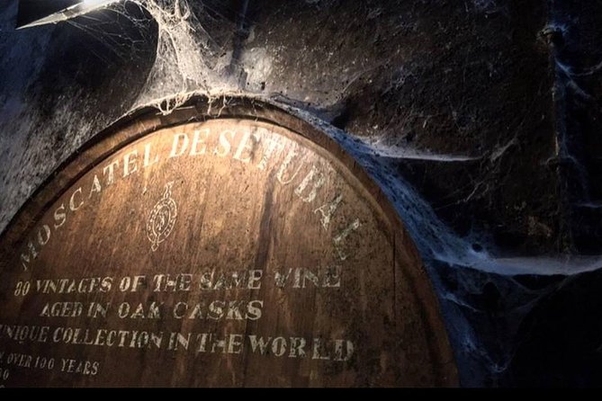 Private Lisbon Arrábida Wine Tour: Scenery, Food & Wines - The Itinerary in Detail: What to Expect