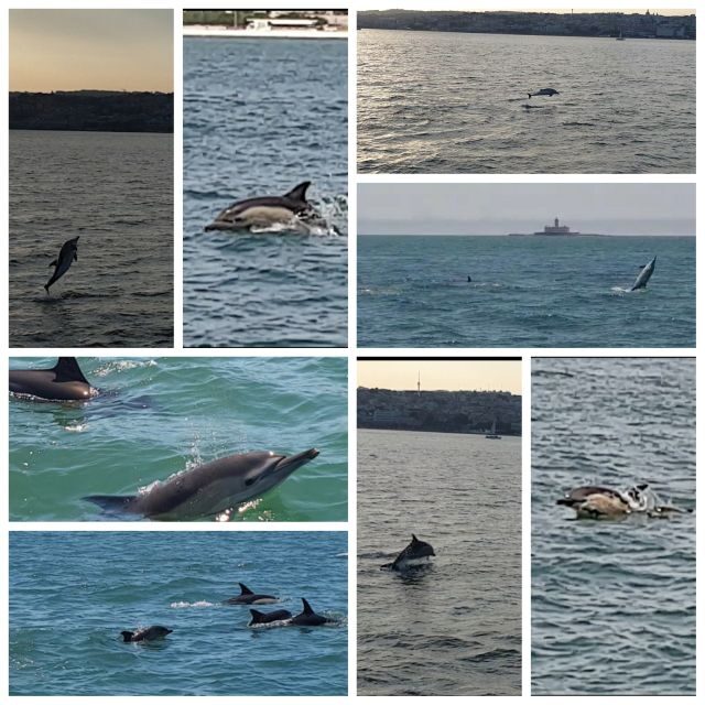 Private Lisbon Sightseeing Sailing Boat Tour with Locals - The Value of a Private River Tour