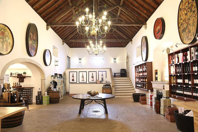 Private Lisbon wine tasting tour in the Setubal region - Practical Details and Considerations