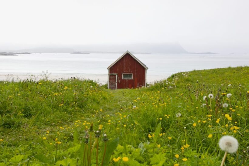 Private Lofoten Islands Tour (from Leknes) - A Detailed Look at the Private Lofoten Islands Tour from Leknes