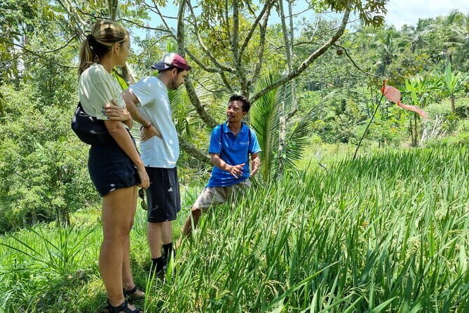 Private Lombok Historical Sightseeing and Waterfall Tour - Return to Senggigi