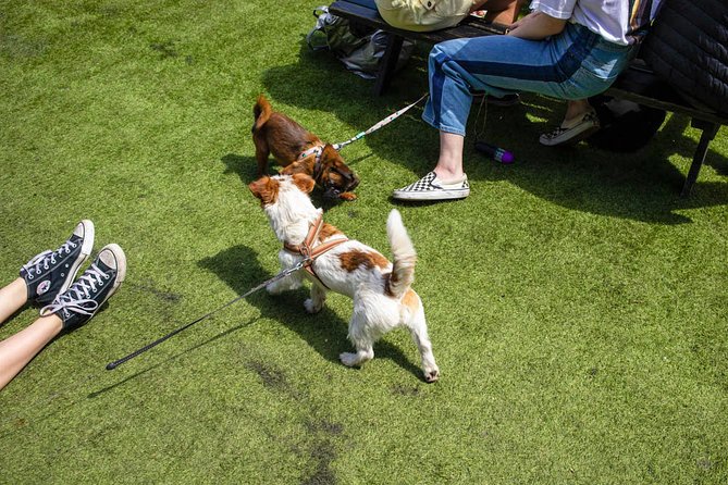 Private London Street Photography Workshop - Final Thoughts: Is It Worth It?