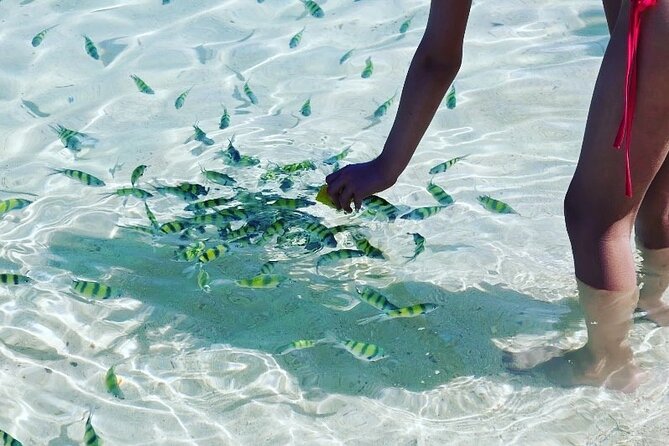 Private Longtail Boat Tour to Hong Islands - The Sum Up