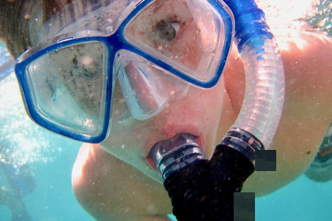Private Looe Key Snorkel from Big Pine Key - Final Thoughts: Is It Worth It?