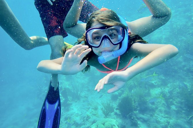 Private Looe Key Snorkel from Big Pine Key - Frequently Asked Questions