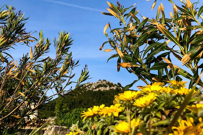 Private Lopud Walking Tour - Final Words