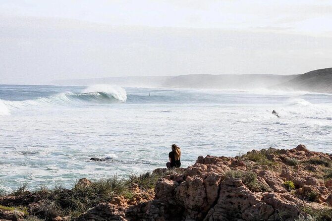 Private Los Angeles Surf Experience Tour - Key Points