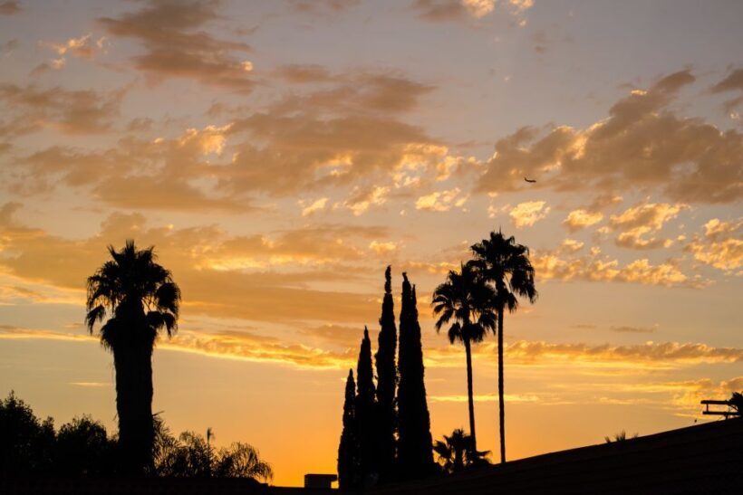 Private Los Angeles Tour by Night - Practical Details and Considerations